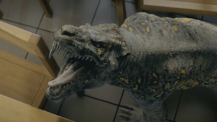 Therocephalia – Primepedia