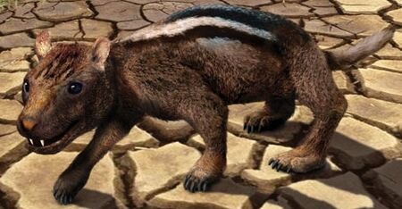 Didelphodon – Primepedia