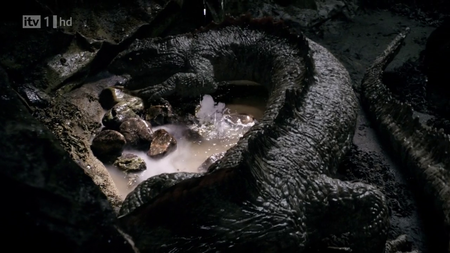 Labyrinthodont – Primepedia