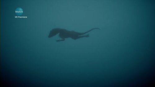 Schwimmender Raptor – Primepedia