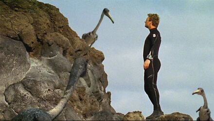 Hesperornis – Primepedia